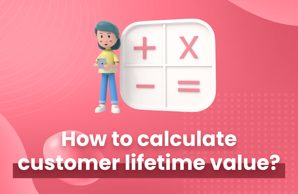Customer Lifetime Value in the Developed Custom MVP App
