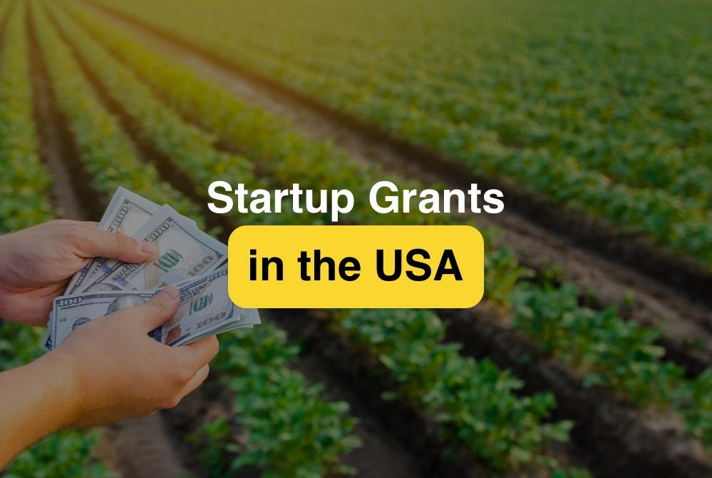 Startup grants in the USA: where to find funding? - urlaunched